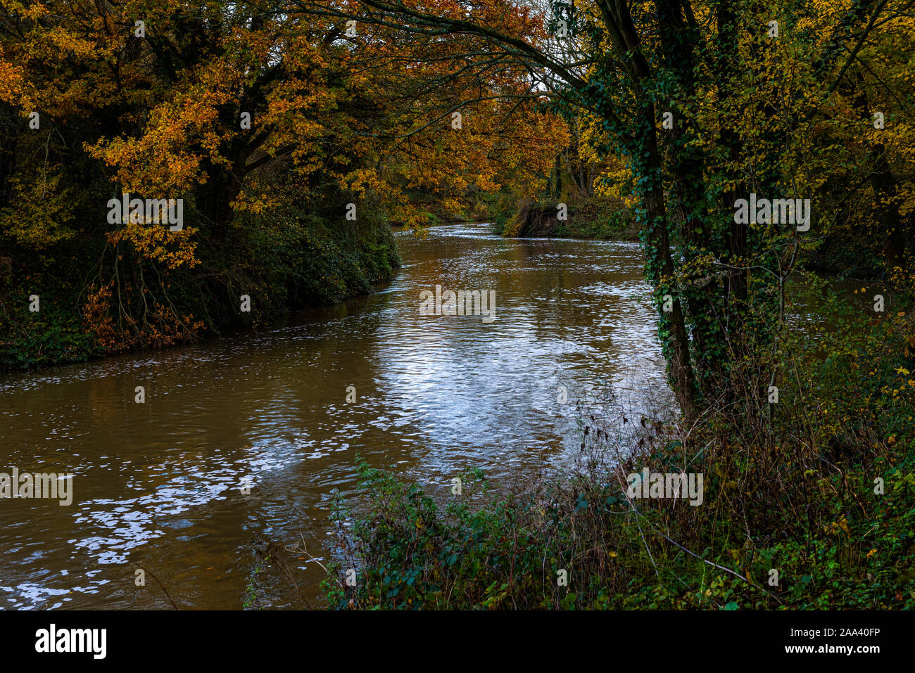 The River Medway between Maidstone and Tonbridge in Kent in Autumn ...