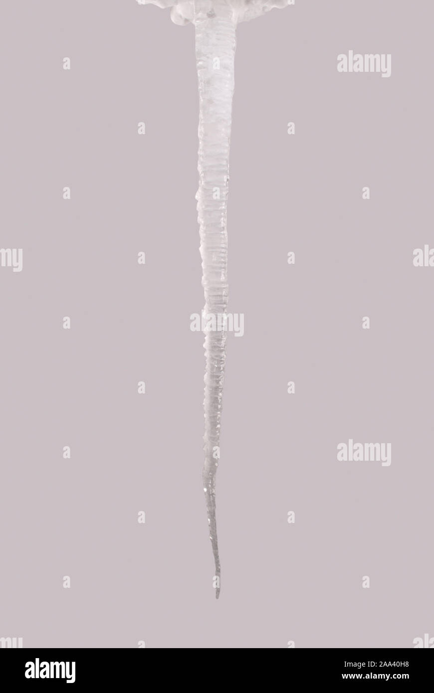 Icicle isolated on a grey background. Frozen water. Clipping path ...