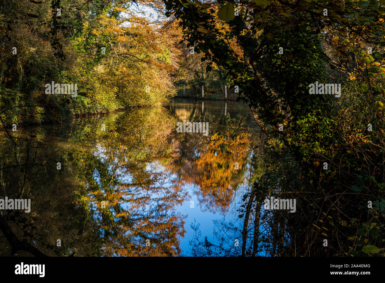 The River Medway between Maidstone and Tonbridge in Kent in Autumn ...