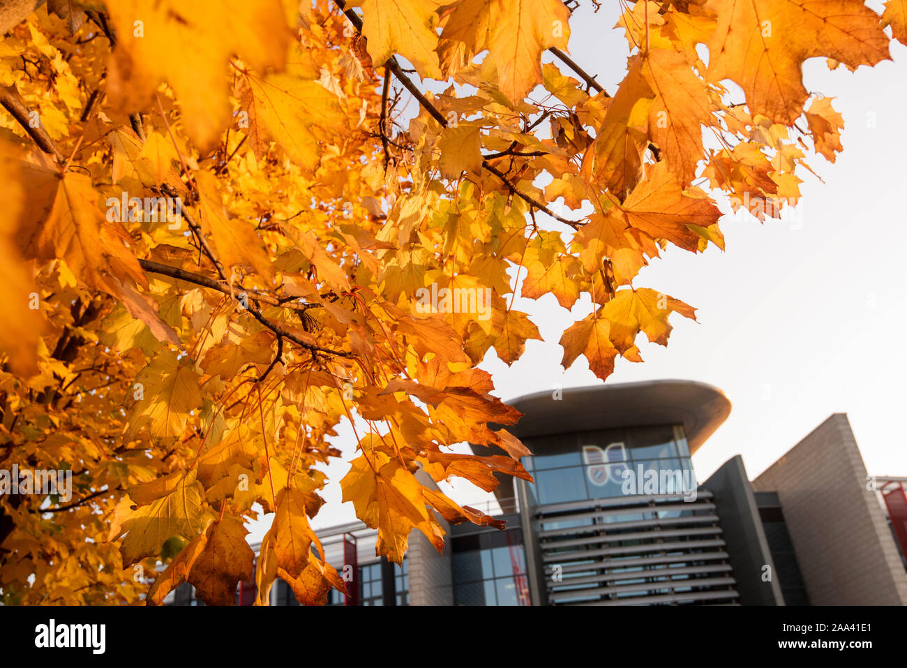Autumn morning at the Romax Technology Building on the Jubilee Campus ...