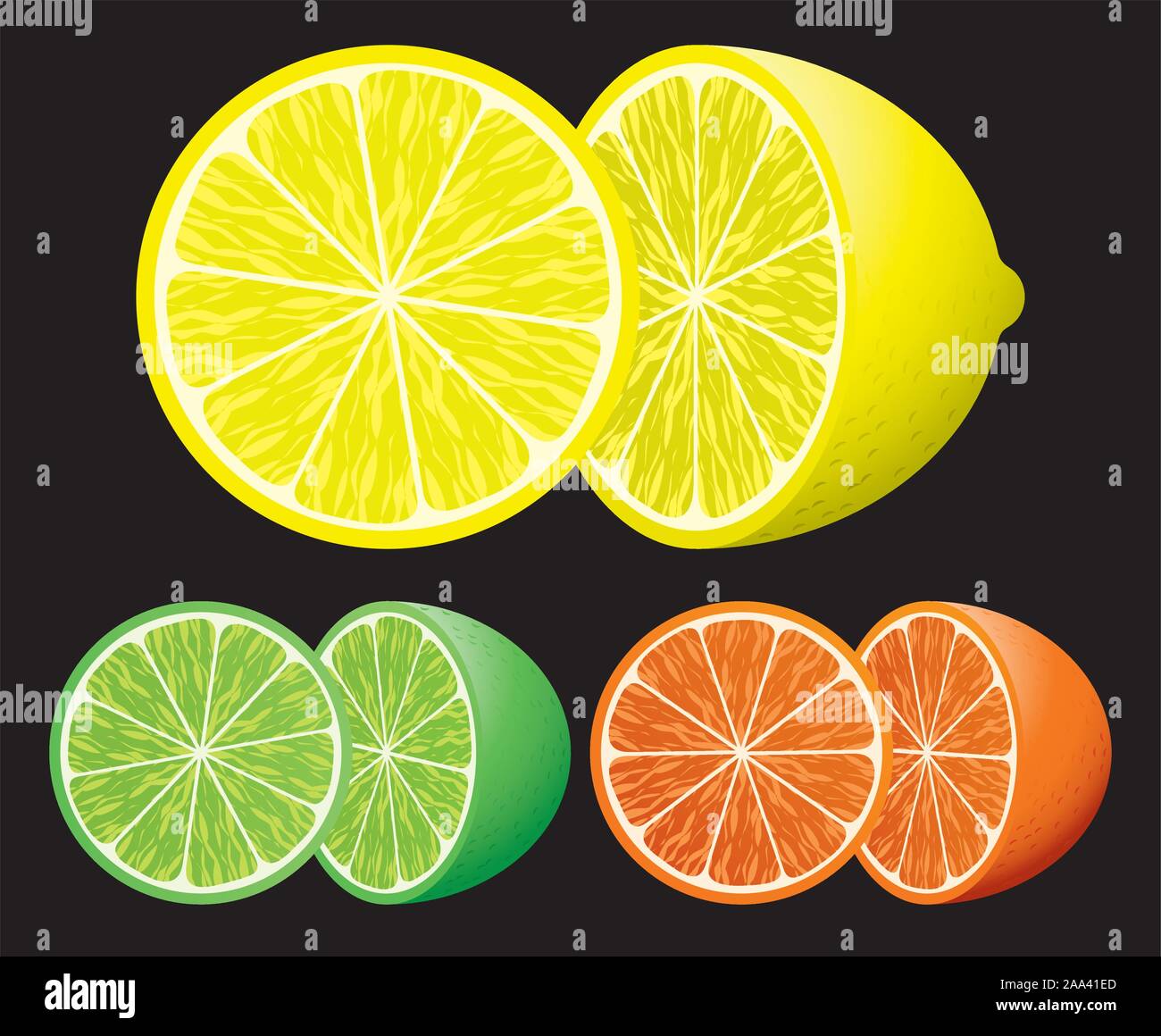 Set of citrus fruits Stock Vector Image & Art - Alamy
