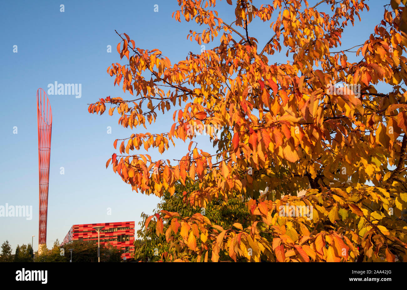 Golden autumn morning at the Jubilee Campus of Nottingham University ...