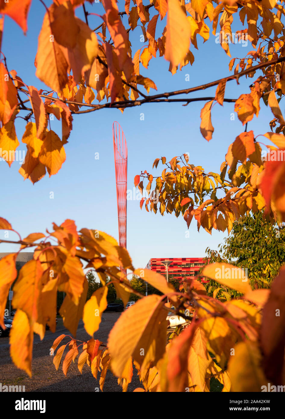 Golden autumn morning at the Jubilee Campus of Nottingham University ...