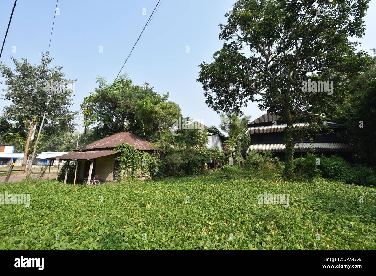 Village scene of Birsingha (birthplace of Ishwar Chandra Vidyasagar ...