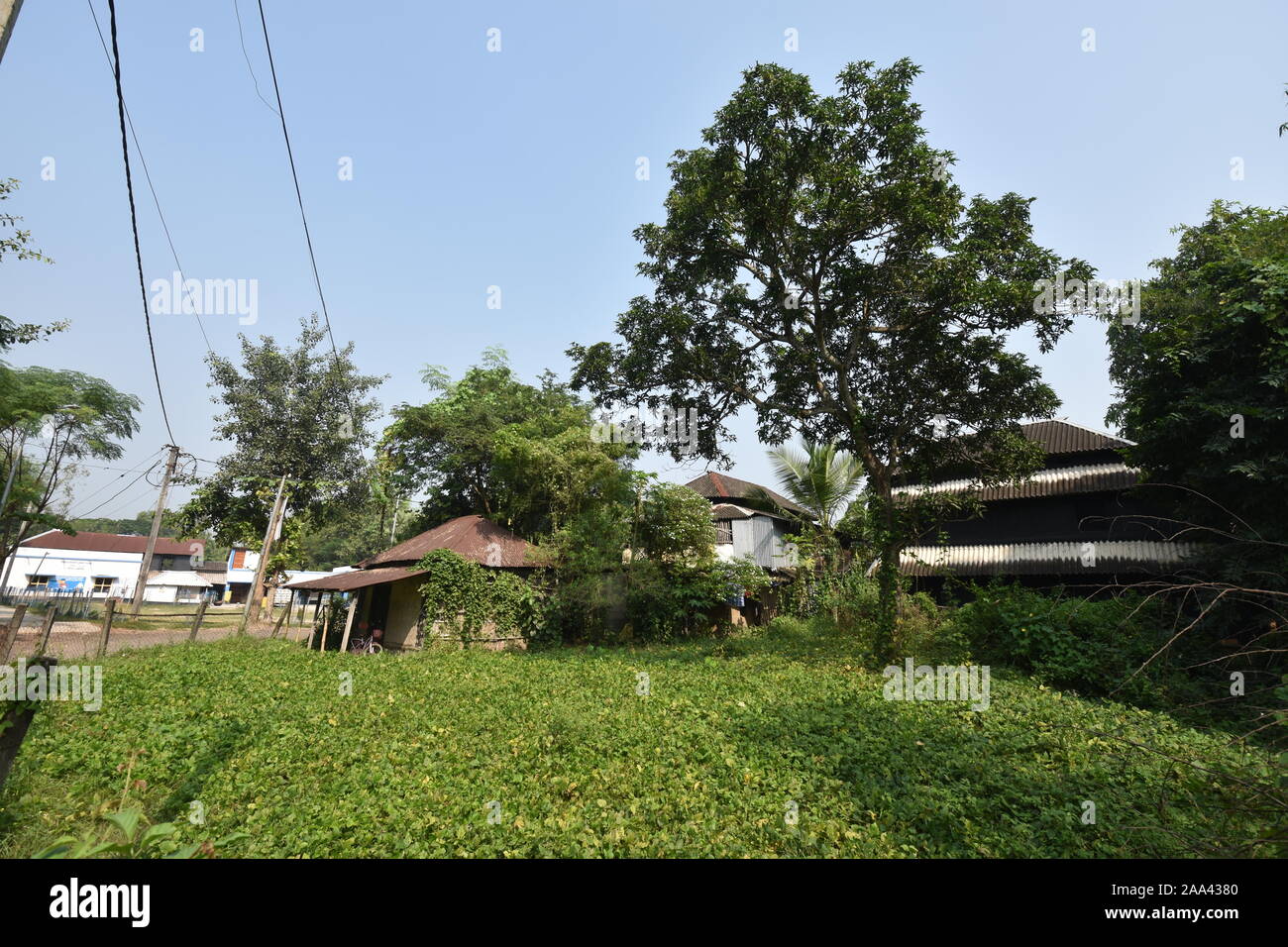 Village scene of Birsingha (birthplace of Ishwar Chandra Vidyasagar ...