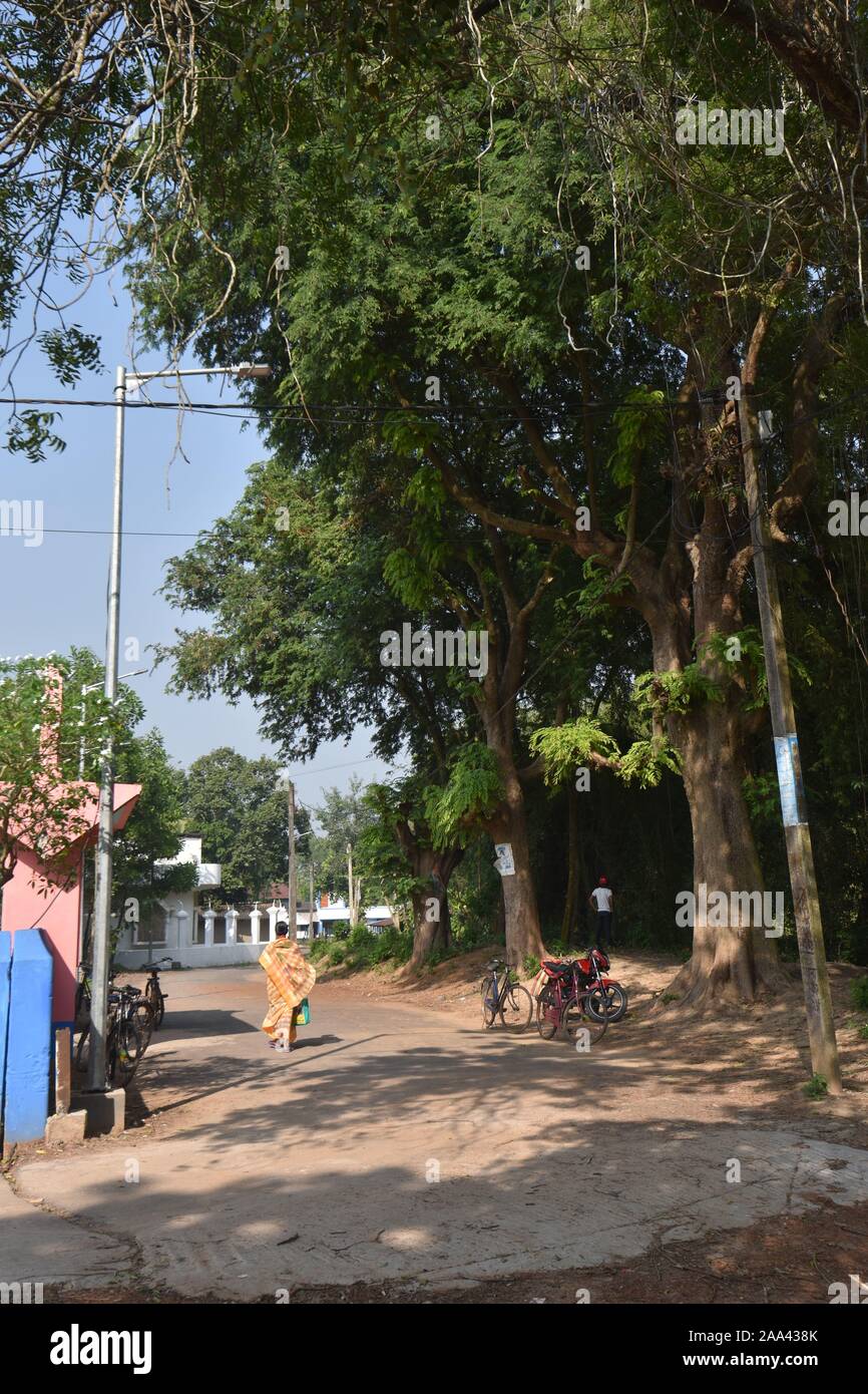 Village scene of Birsingha (birthplace of Ishwar Chandra Vidyasagar ...