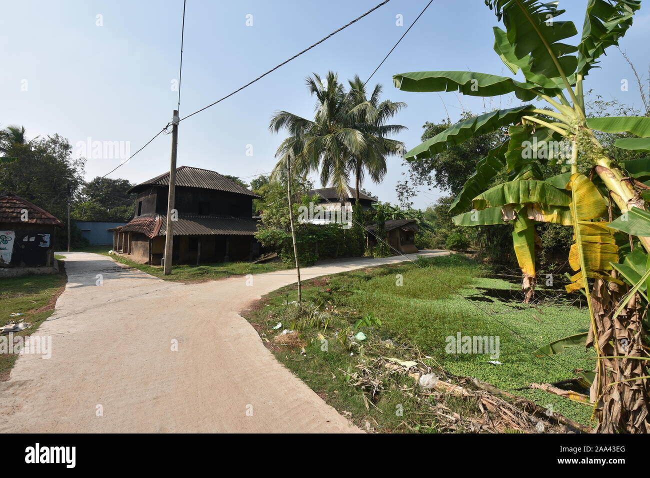 Village scene of Birsingha (birthplace of Ishwar Chandra Vidyasagar ...