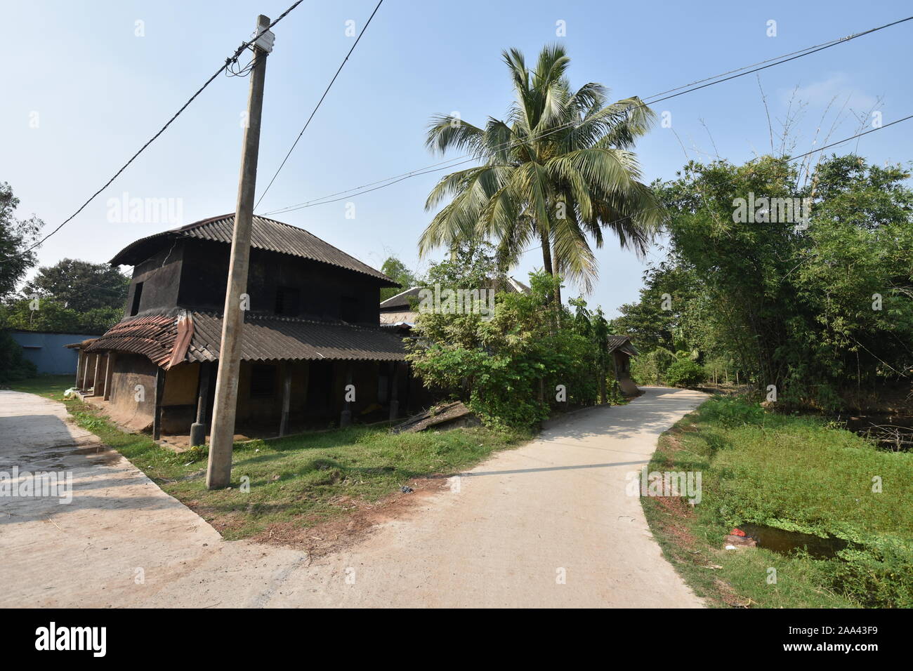 Village scene of Birsingha (birthplace of Ishwar Chandra Vidyasagar ...