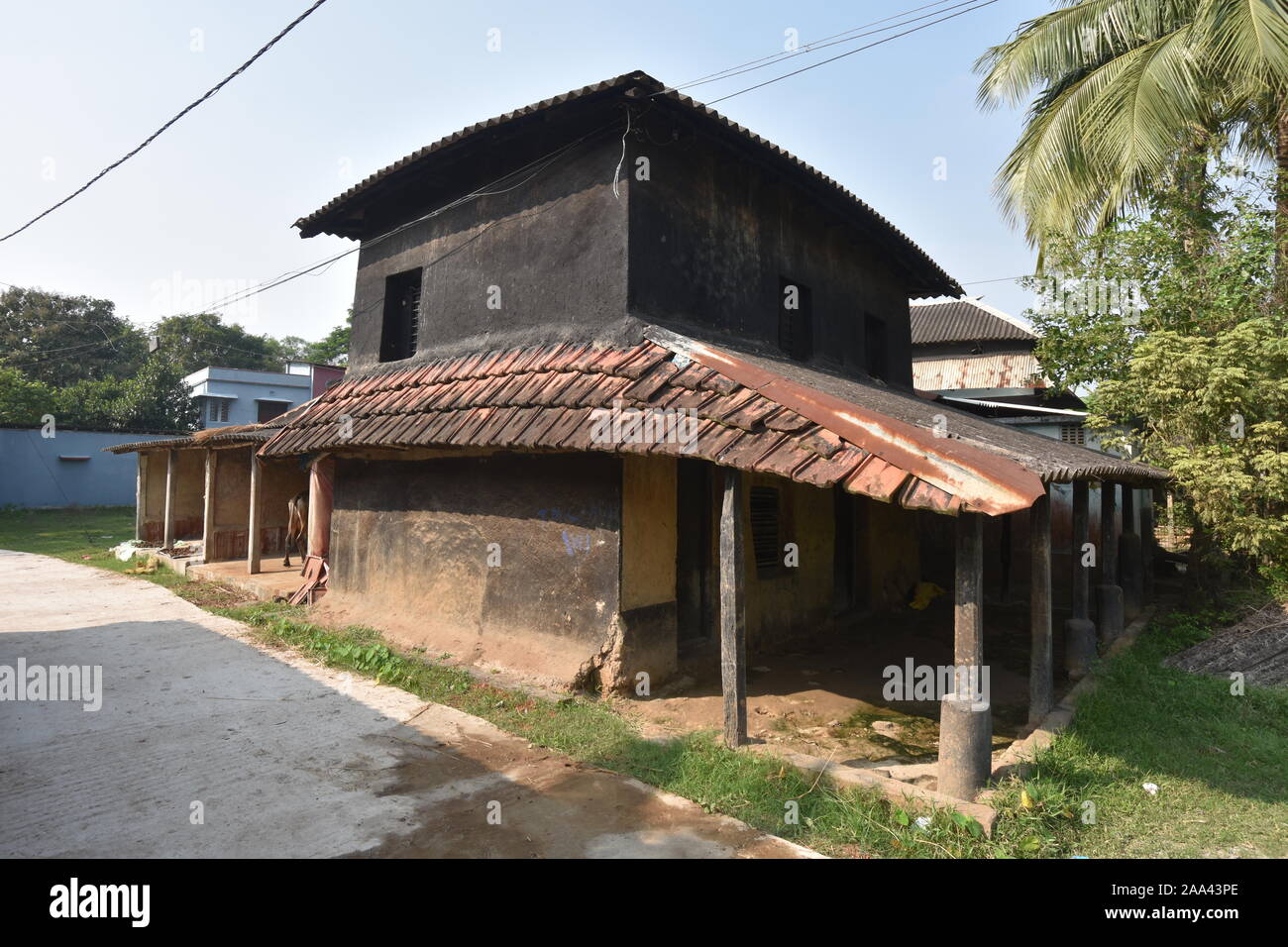 Village scene of Birsingha (birthplace of Ishwar Chandra Vidyasagar ...