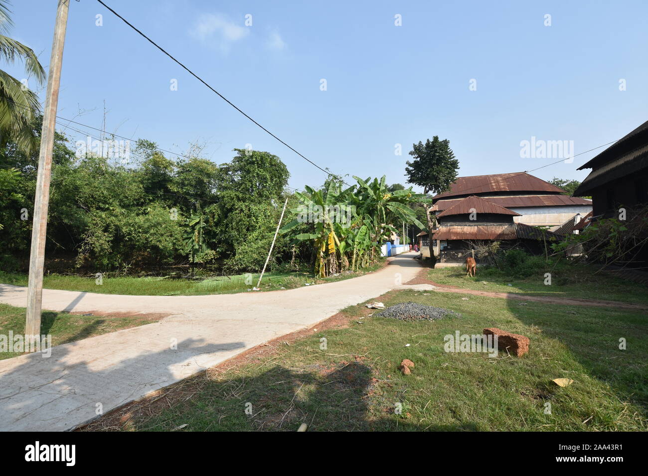 Village scene of Birsingha (birthplace of Ishwar Chandra Vidyasagar ...