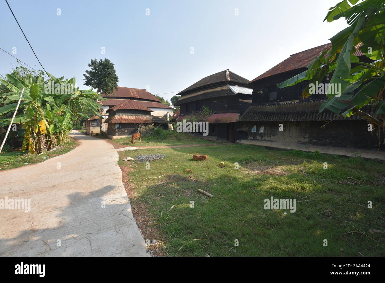 Village scene of Birsingha (birthplace of Ishwar Chandra Vidyasagar ...