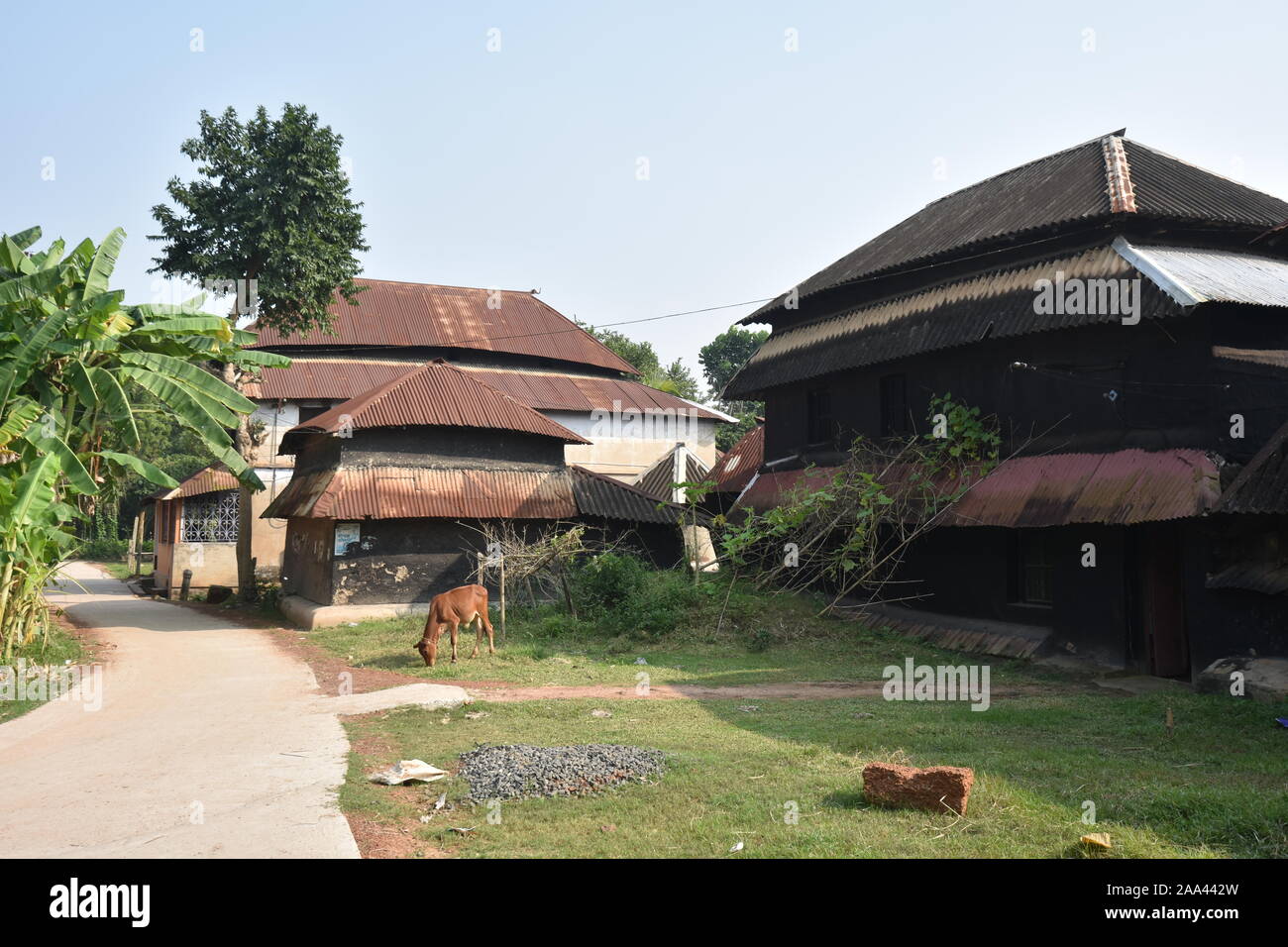 Village scene of Birsingha (birthplace of Ishwar Chandra Vidyasagar ...