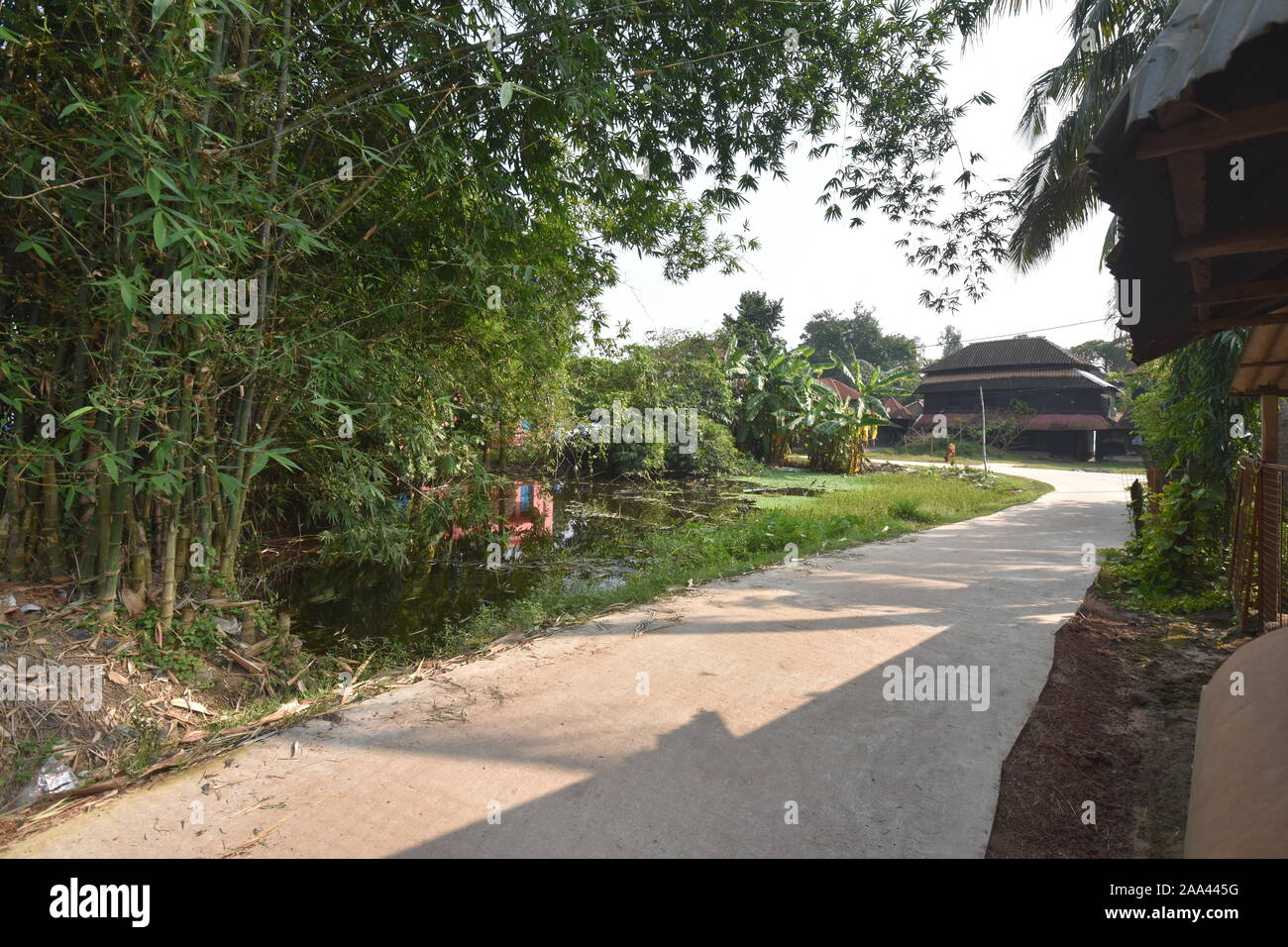 Village scene of Birsingha (birthplace of Ishwar Chandra Vidyasagar ...
