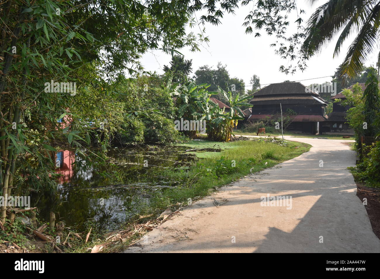 Village scene of Birsingha (birthplace of Ishwar Chandra Vidyasagar ...