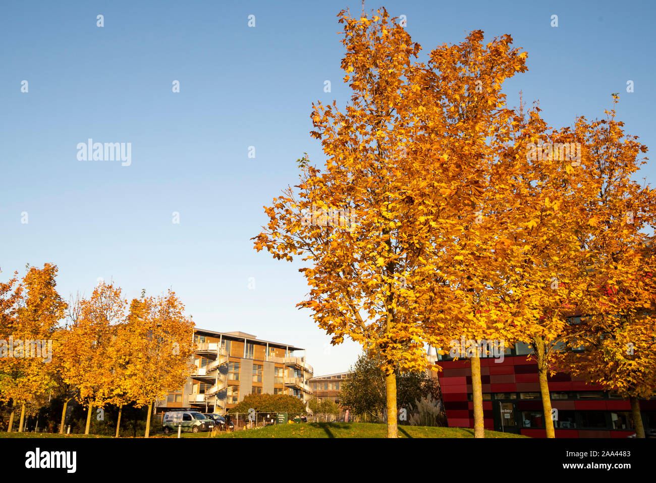 Autumn morning at the Jubilee Campus of Nottingham University ...
