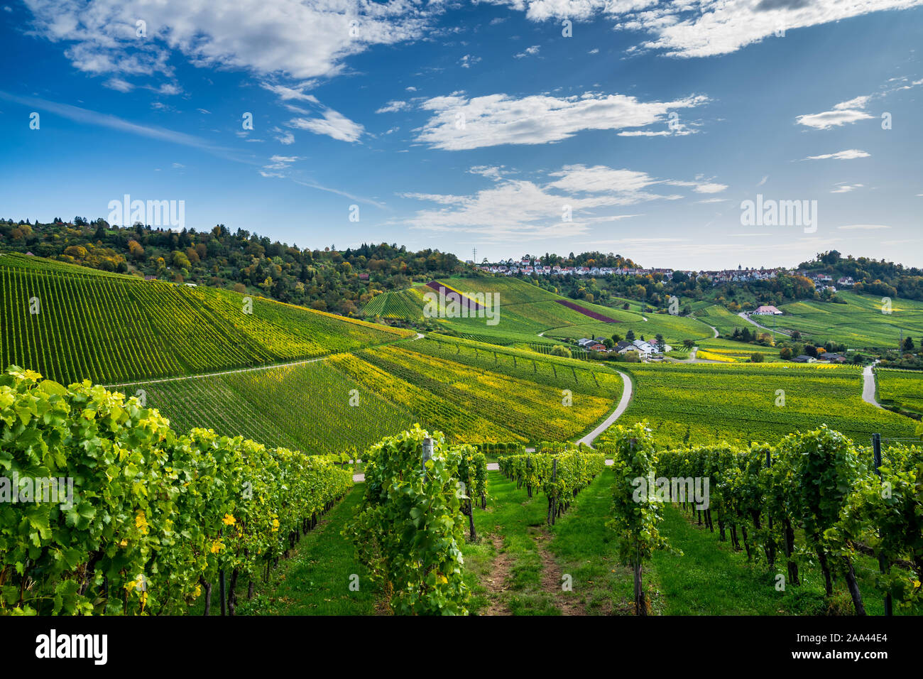 Stuttgart City Forest In Autumn High Resolution Stock Photography and ...
