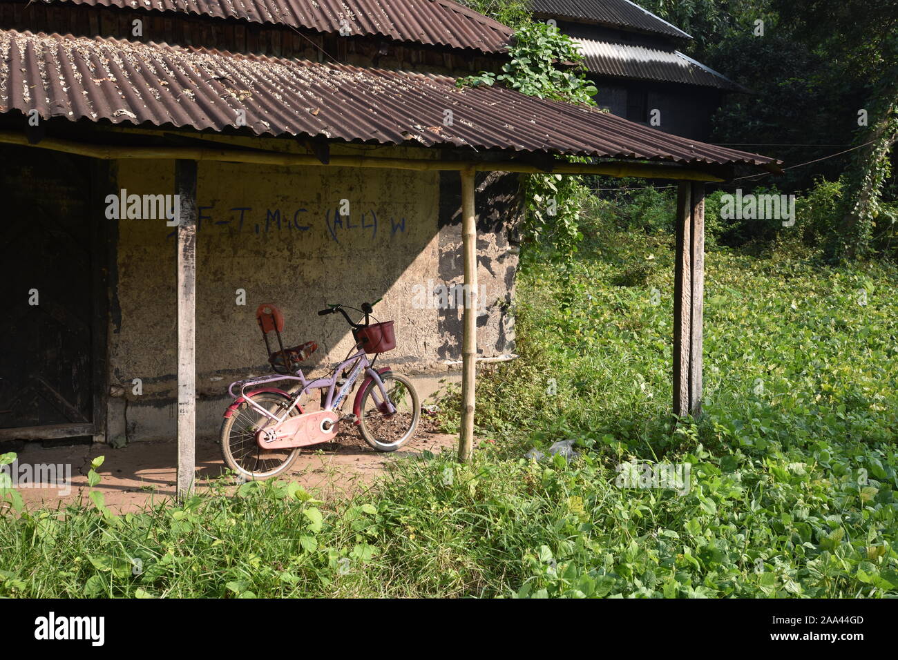 Village scene of Birsingha (birthplace of Ishwar Chandra Vidyasagar ...