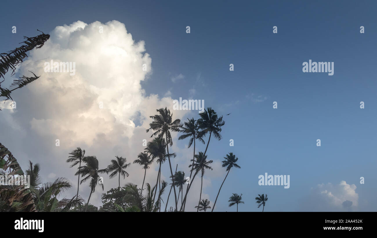 Goan landscape hi-res stock photography and images - Alamy