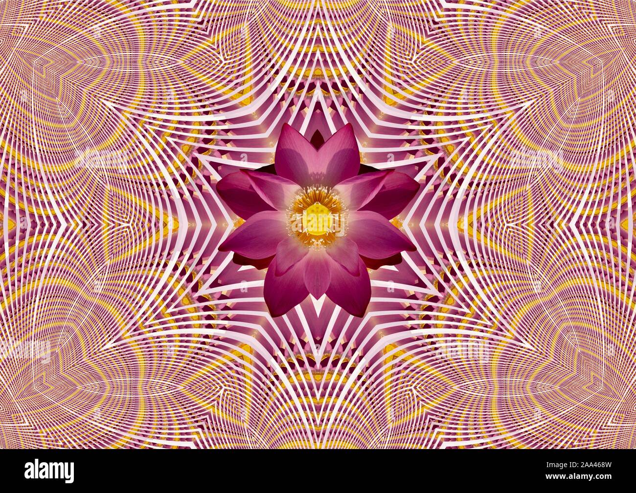 Lotus Flower Mandala Stock Photo - Alamy