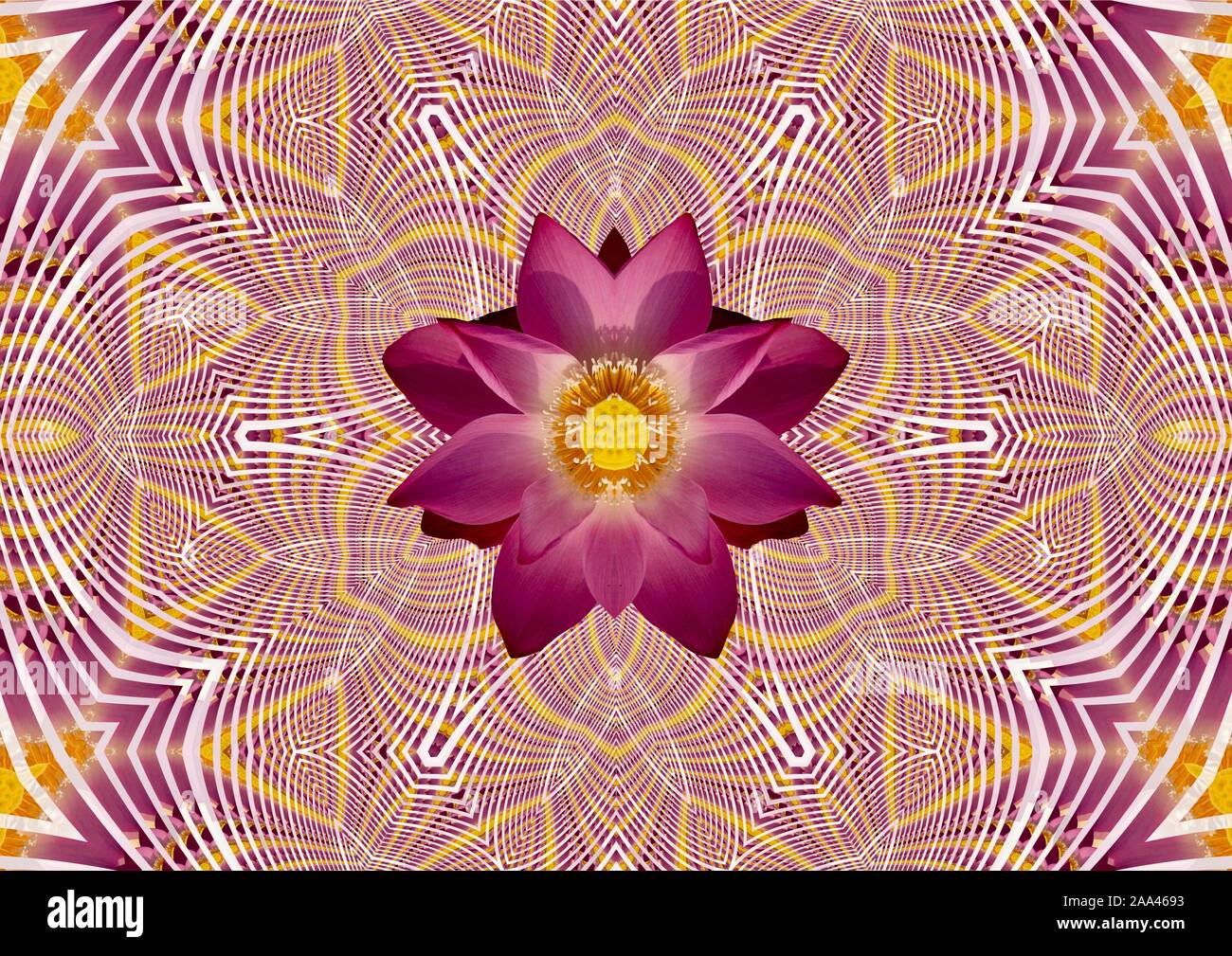 Mandala lotus hi-res stock photography and images - Alamy