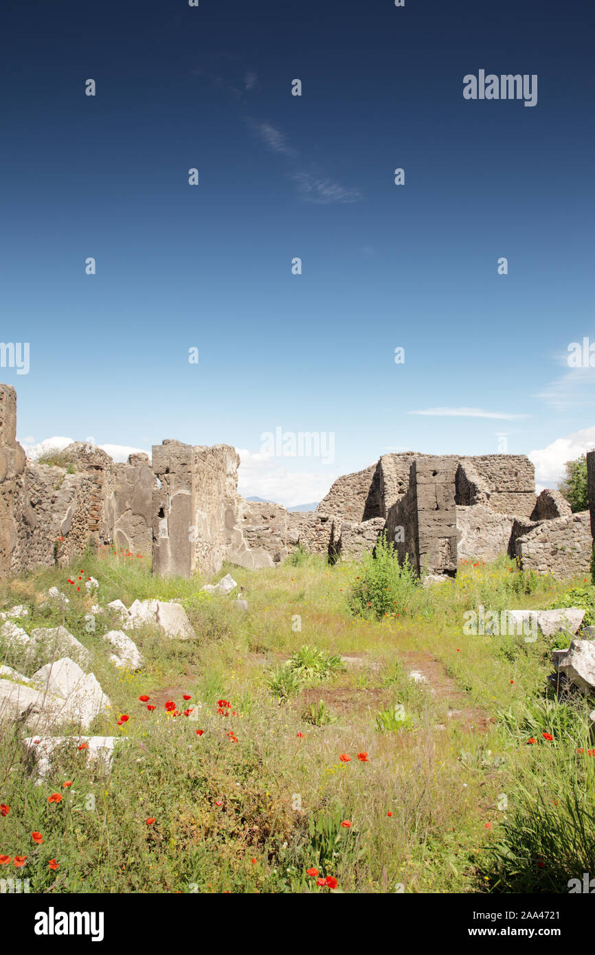 the lost city of pompeii a ancient Roman city buried under volcanic ash ...