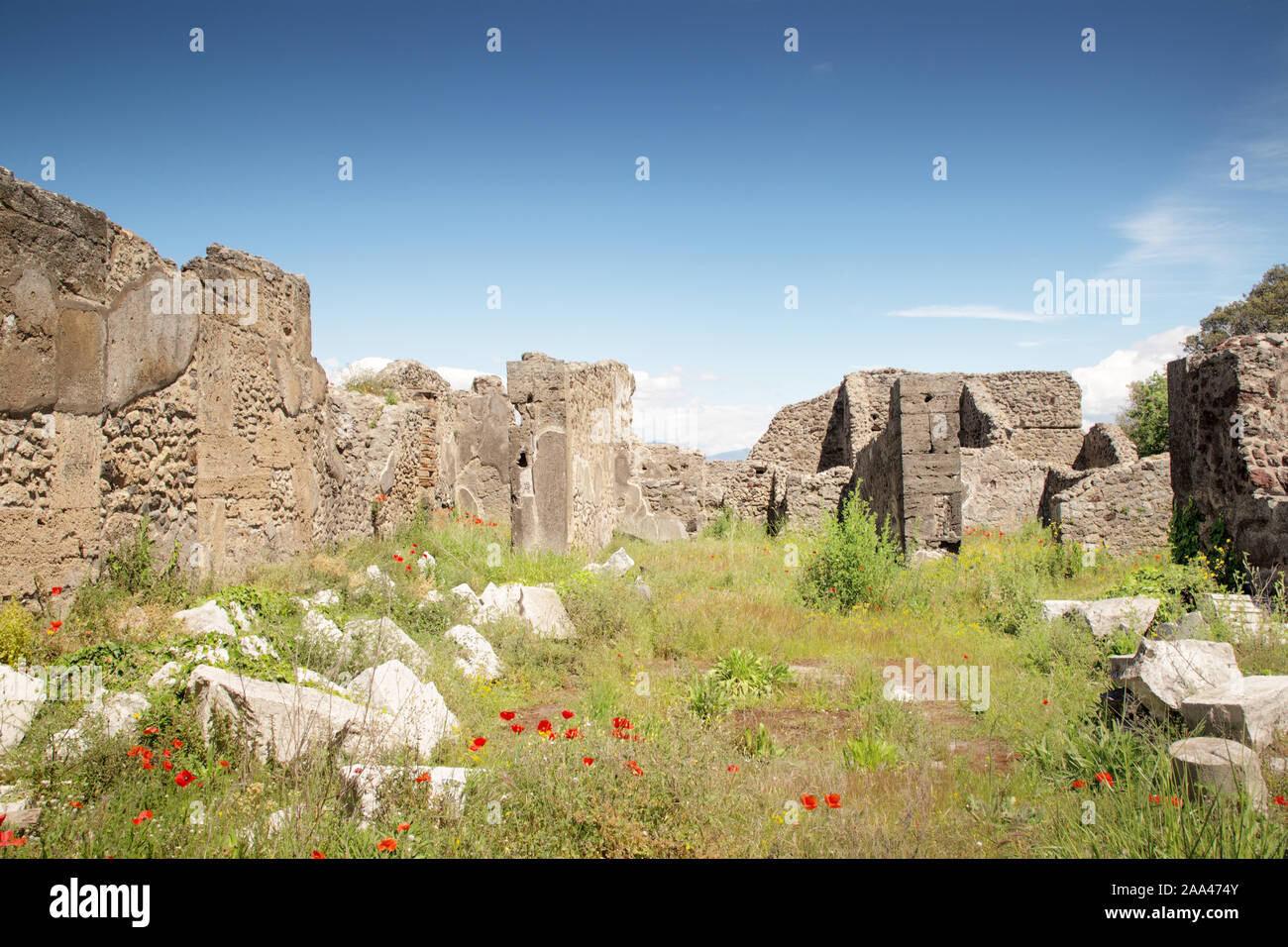 the lost city of pompeii a ancient Roman city buried under volcanic ash ...