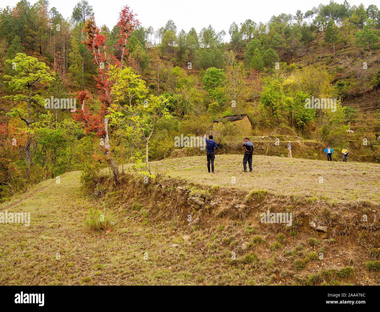Maneater from panar hi-res stock photography and images - Alamy