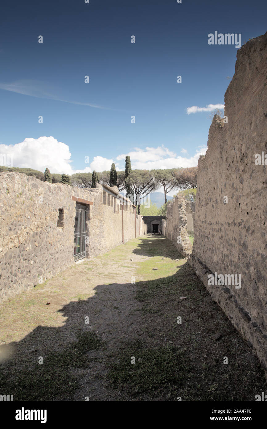 the lost city of pompeii a ancient Roman city buried under volcanic ash ...