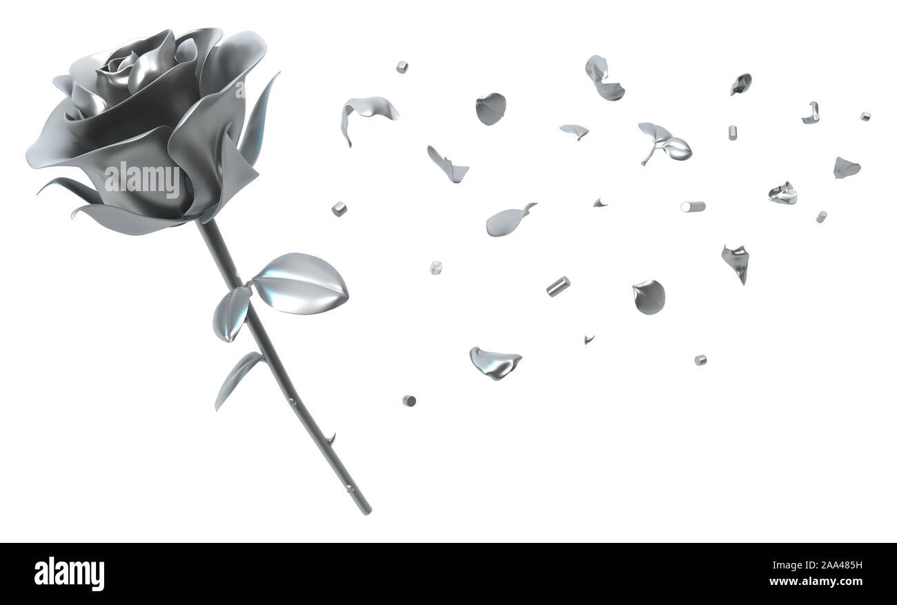 Black Rose Petals Falling