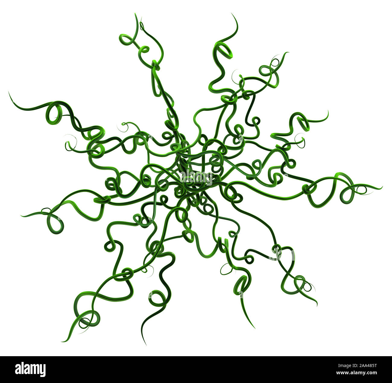 Plant vines green growing twisting curly decoration star, 3d ...