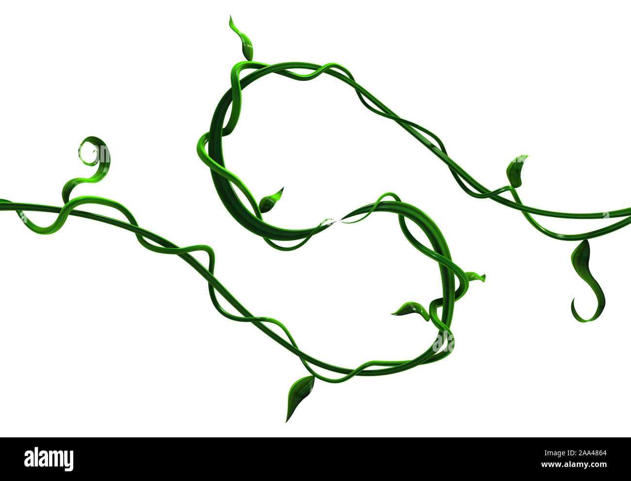 Plant vines green growing twisting leaf branches two meeting, 3d ...
