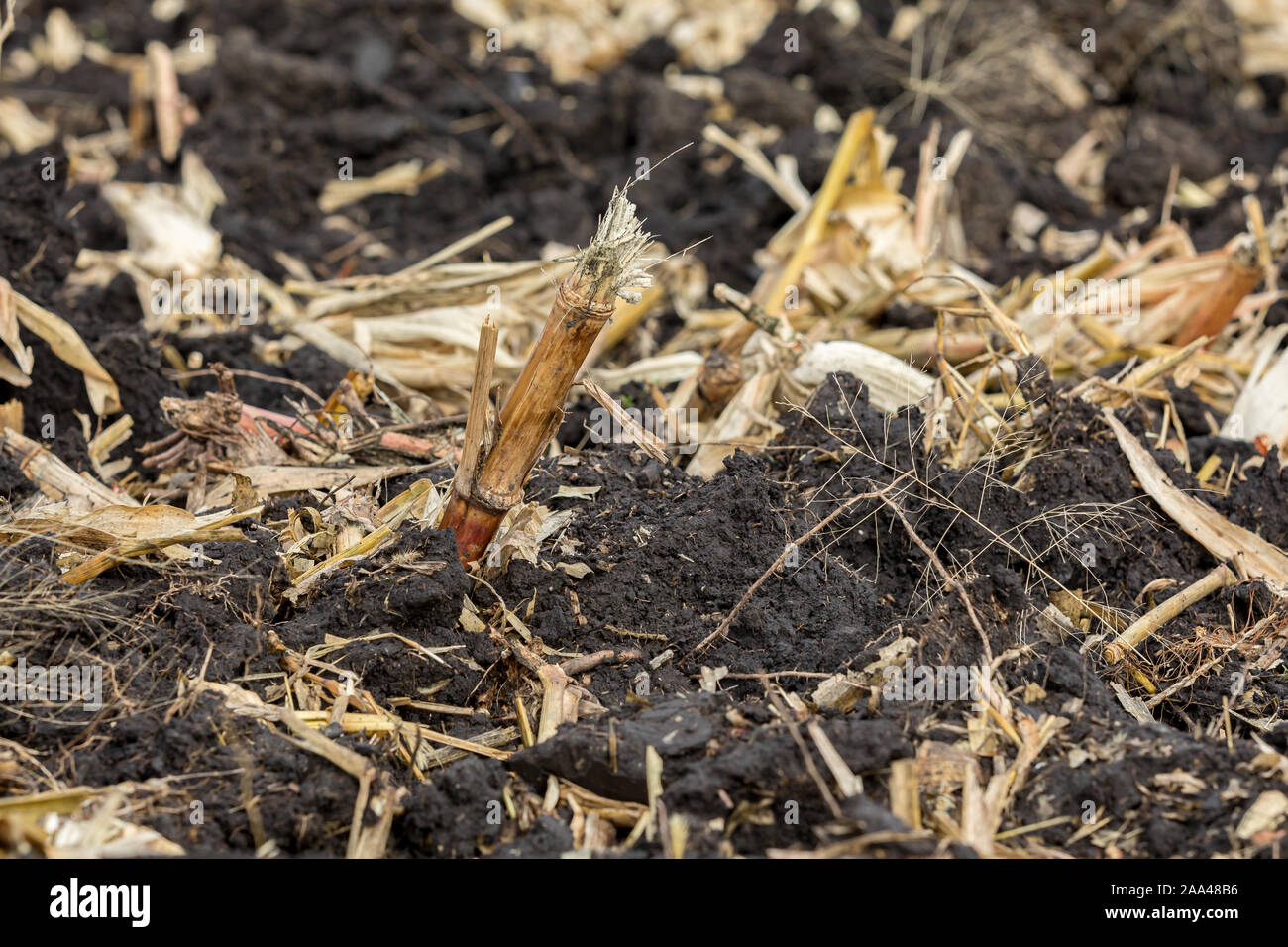 The dirt clods hi-res stock photography and images - Alamy