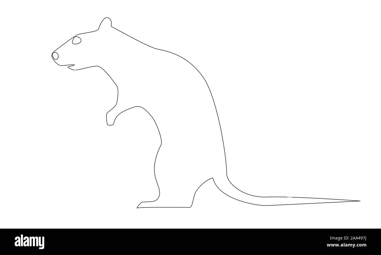 Rat drawn in one thin continuous line, vector Stock Vector Image & Art ...