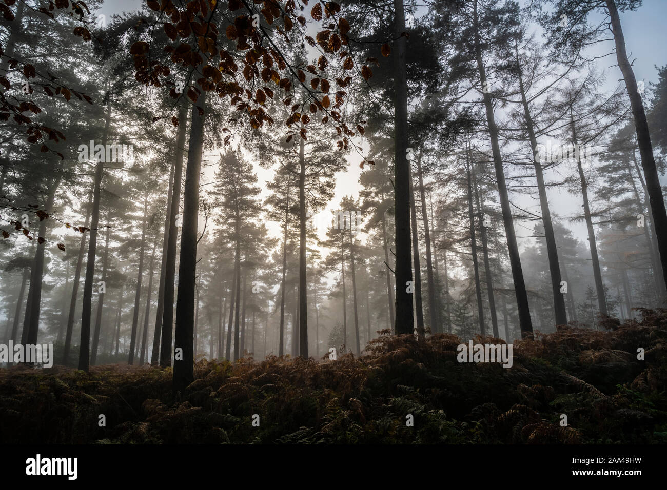 Penrith beacon hi-res stock photography and images - Alamy