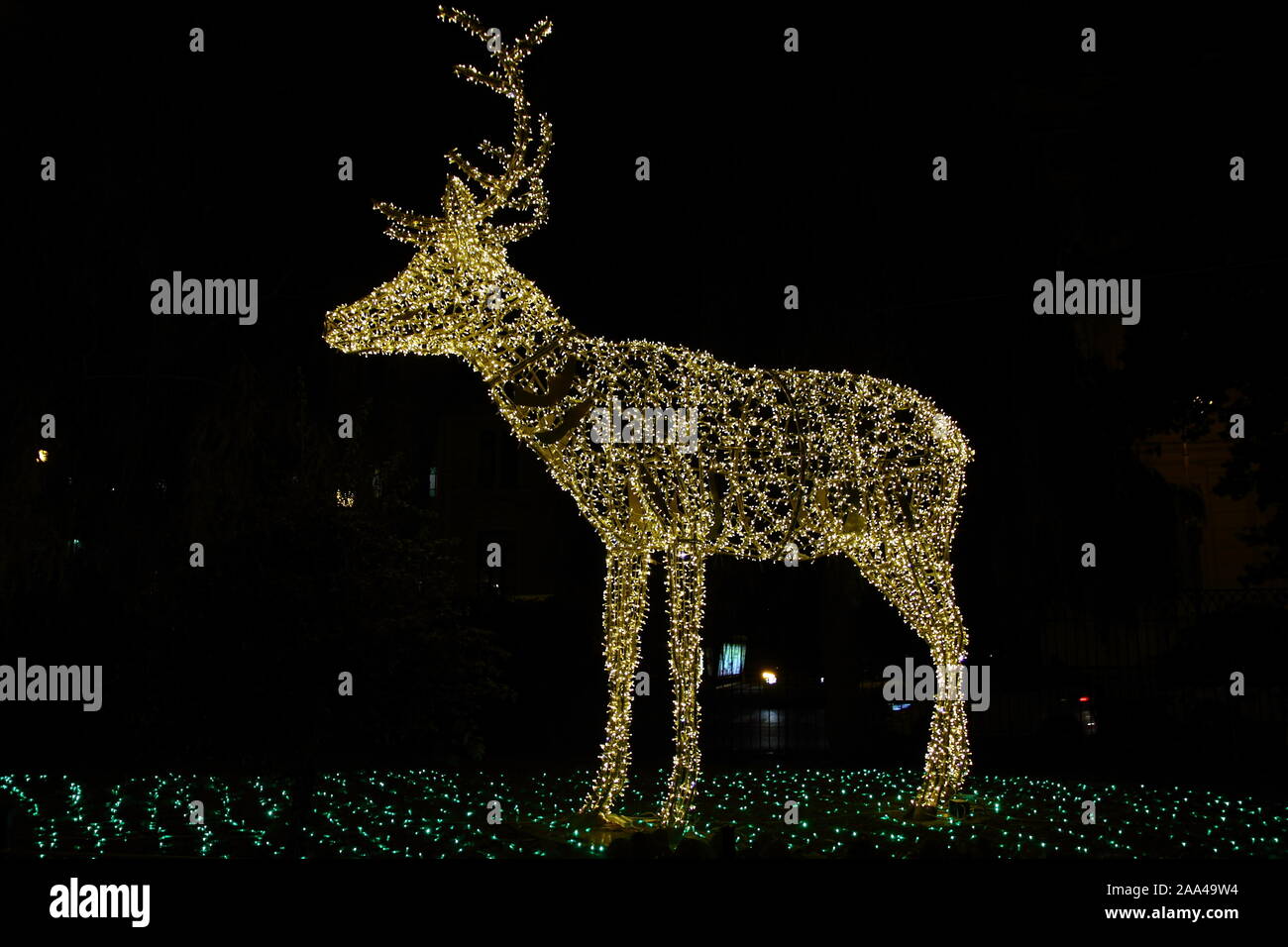 artist lights with animals Stock Photo - Alamy