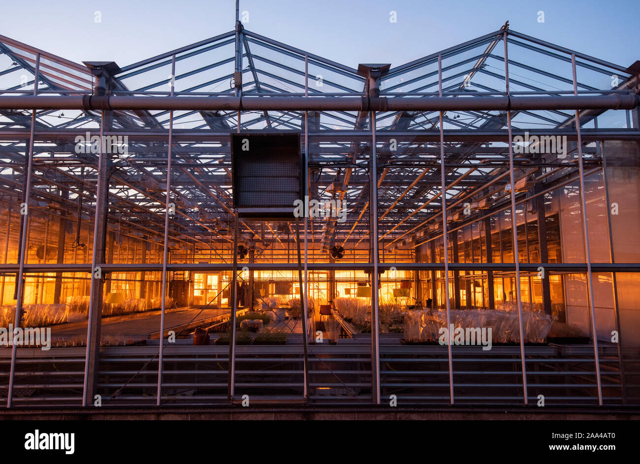 Morning blue hour at the Wheat Research Centre on the Sutton Bonington ...