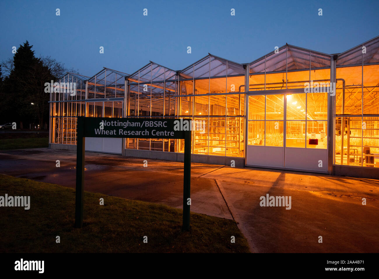 Morning blue hour at the Wheat Research Centre on the Sutton Bonington ...
