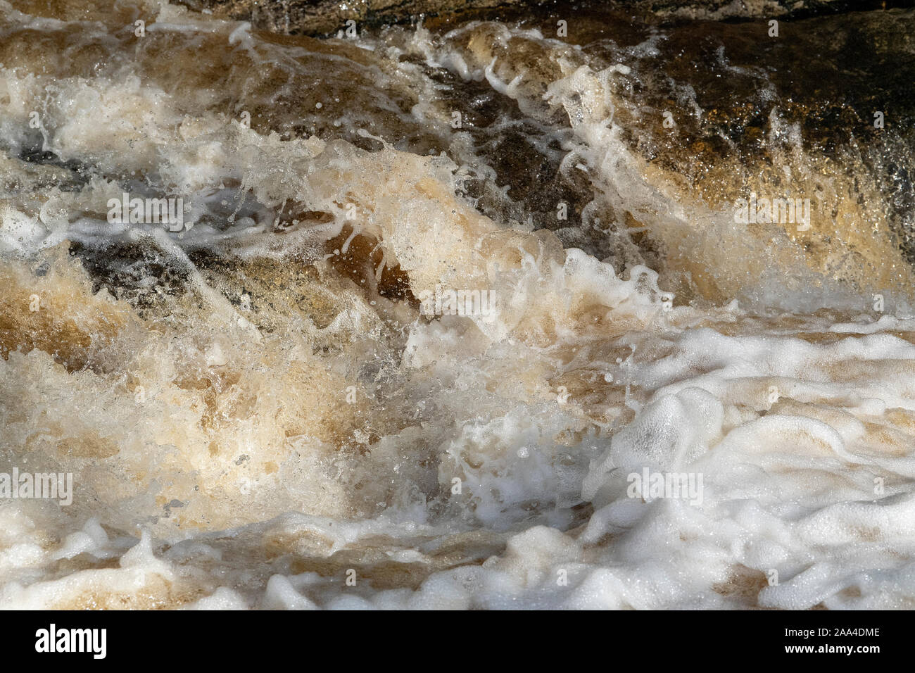 River Ribble at Stainforth Force in flood, close up of the water. North ...