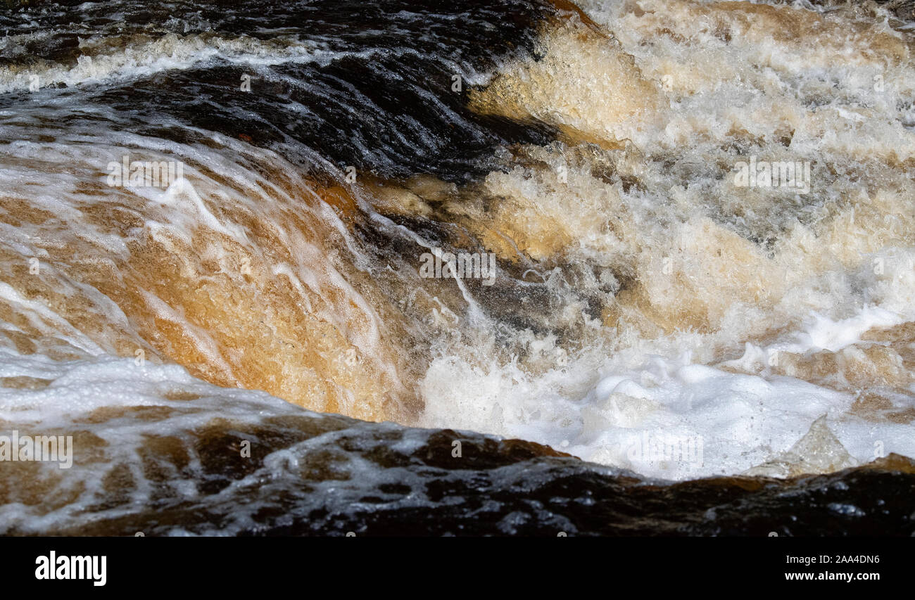 River Ribble at Stainforth Force in flood, close up of the water. North ...
