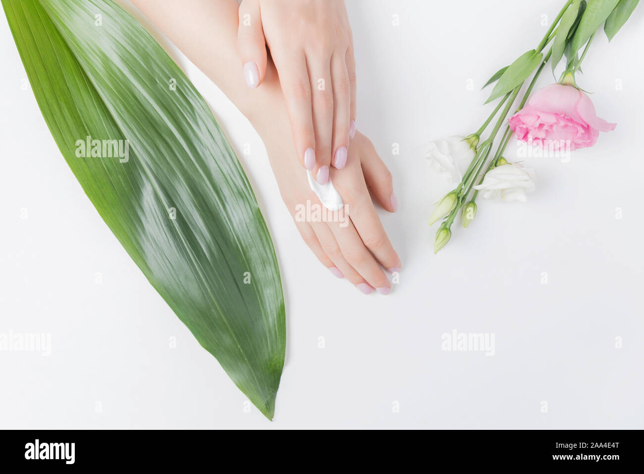 Girl puts cream on hands on white background with tropical leaves and ...