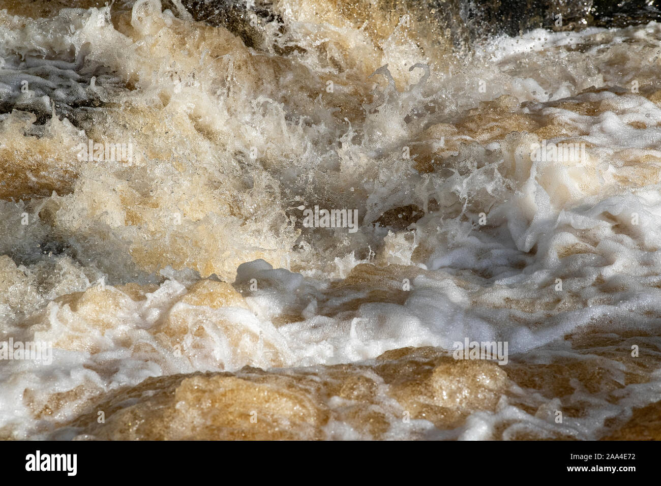 River Ribble at Stainforth Force in flood, close up of the water. North ...