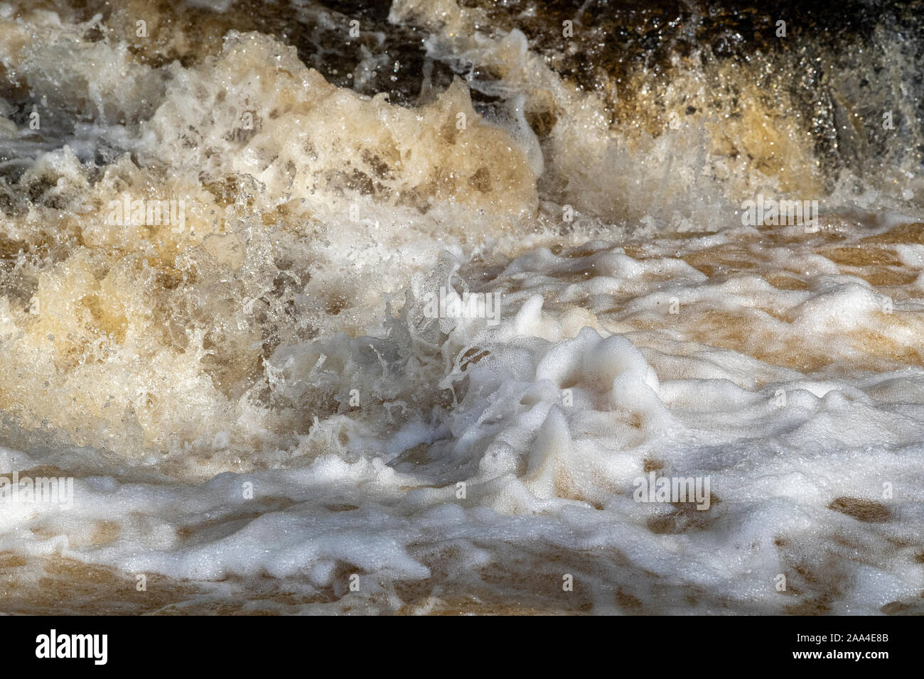 River Ribble at Stainforth Force in flood, close up of the water. North ...