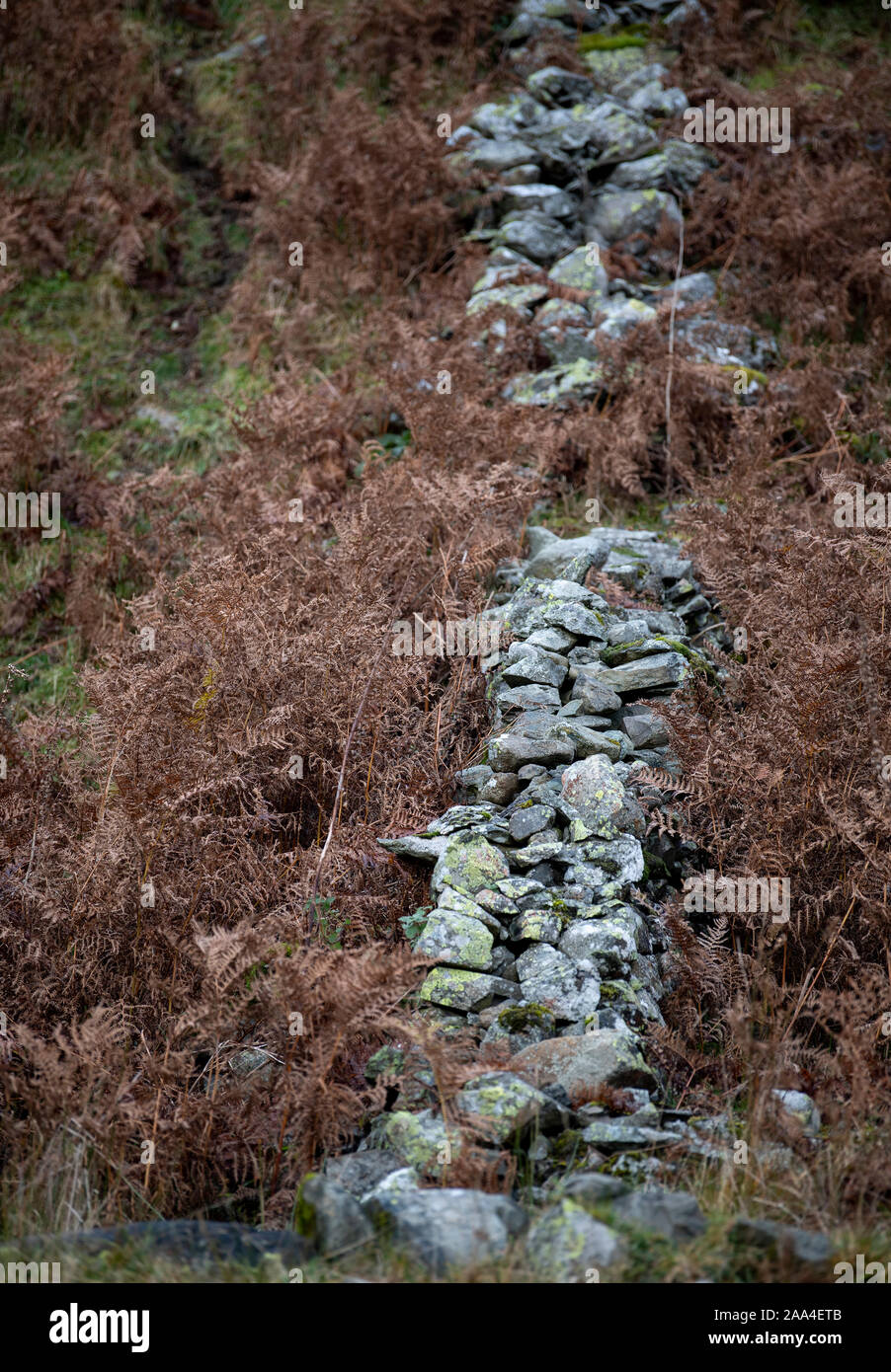 Old lake district hill farm hi-res stock photography and images - Alamy Old lake district hill farm hi-res stock photography and images - Alamy