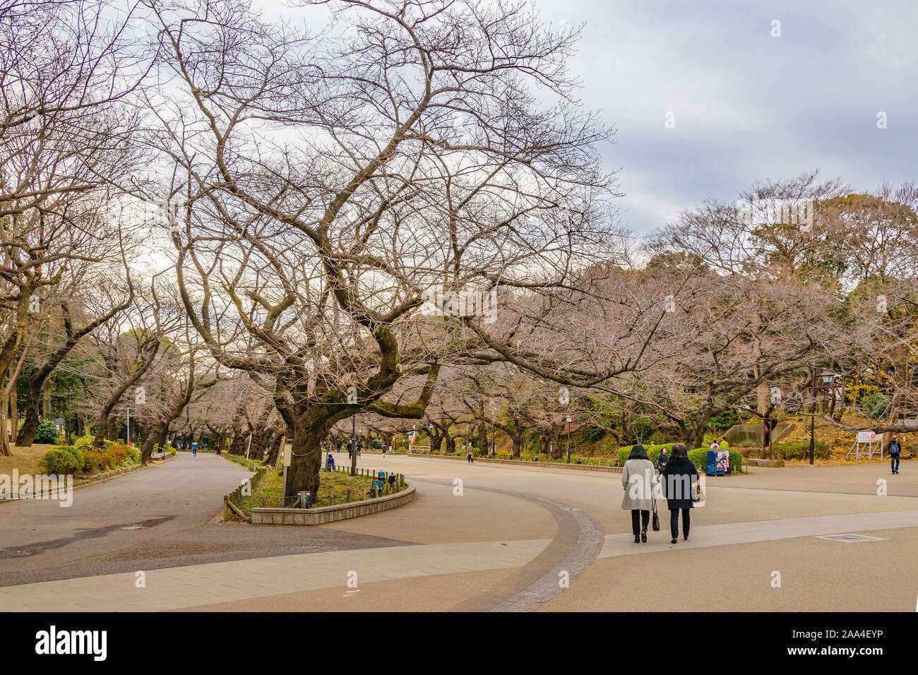 Ueno park people walkway hi-res stock photography and images - Alamy