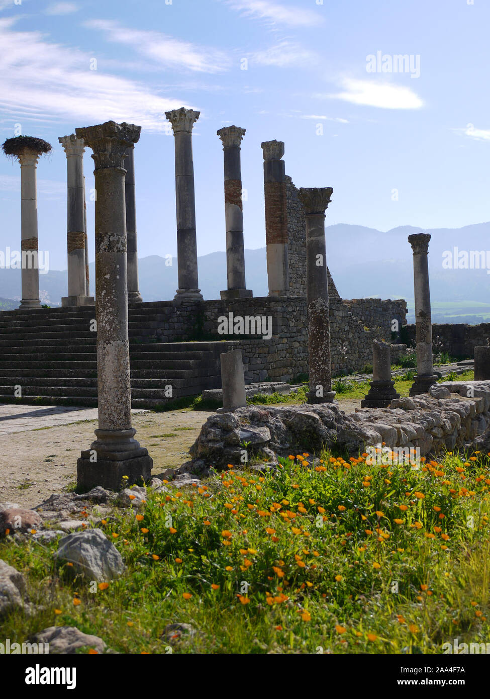 Volubilis meknes hi-res stock photography and images - Alamy