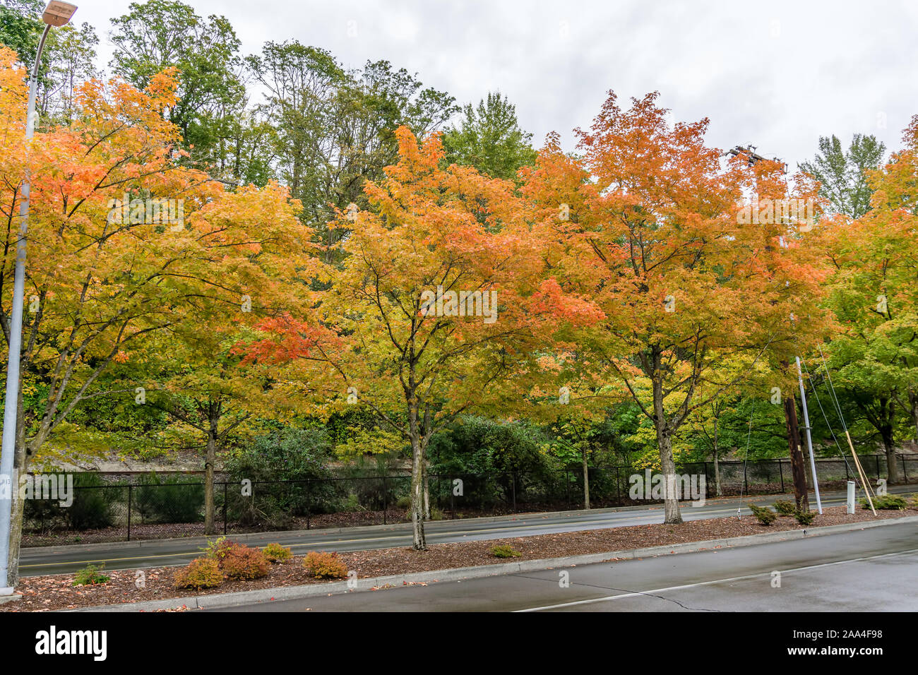 Trees are bursting with autumn colors at Gene Coulon Park in Renton, Washington Stock Photo - Alamy