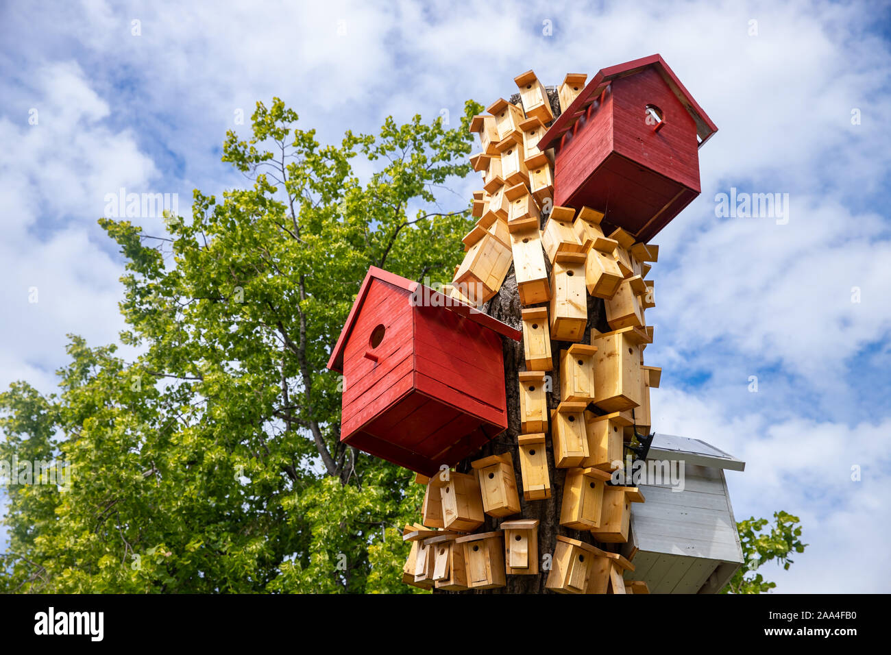 Colorful bird houses DIY made of wood by hand, attached to sawn tree ...