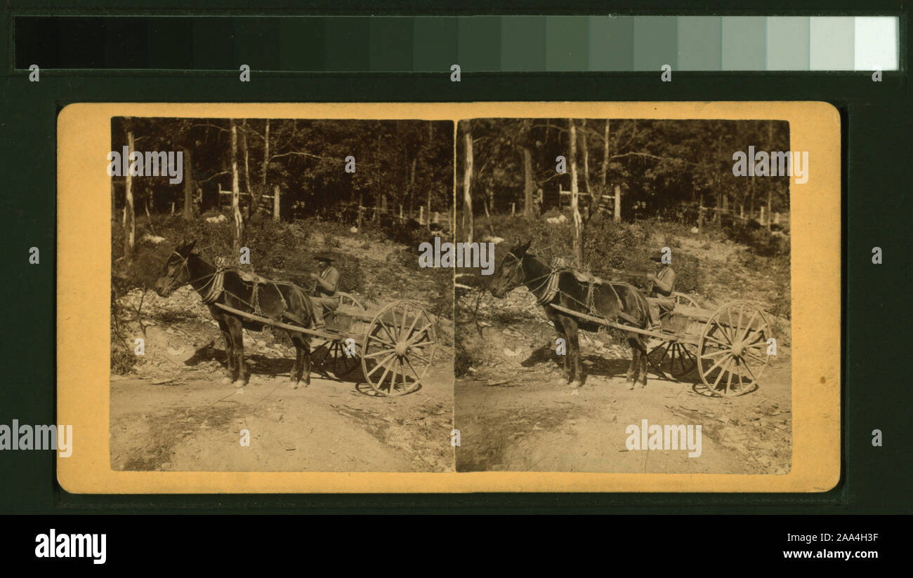 Allen Roan, notary public.; Allen Roan, notary public Stock Photo - Alamy