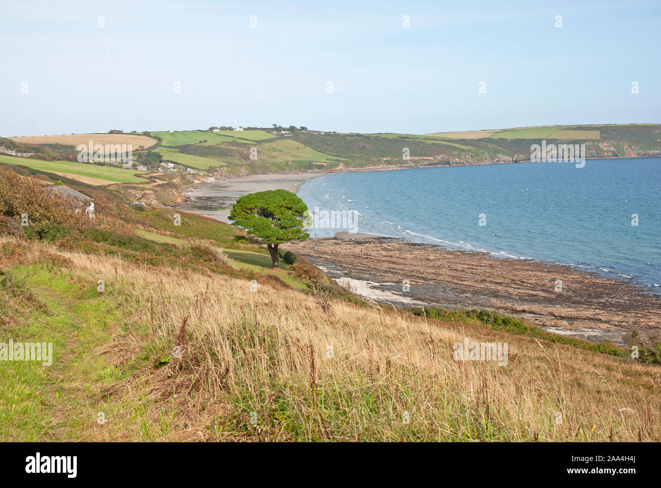 Carne beach roseland peninsula cornwall hi-res stock photography and ...