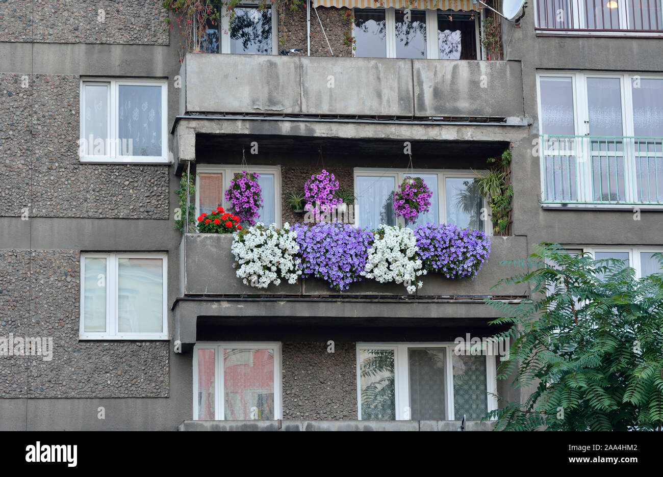 Typical grey architecture of the Soviet period, Wroclaw. Poland Stock ...